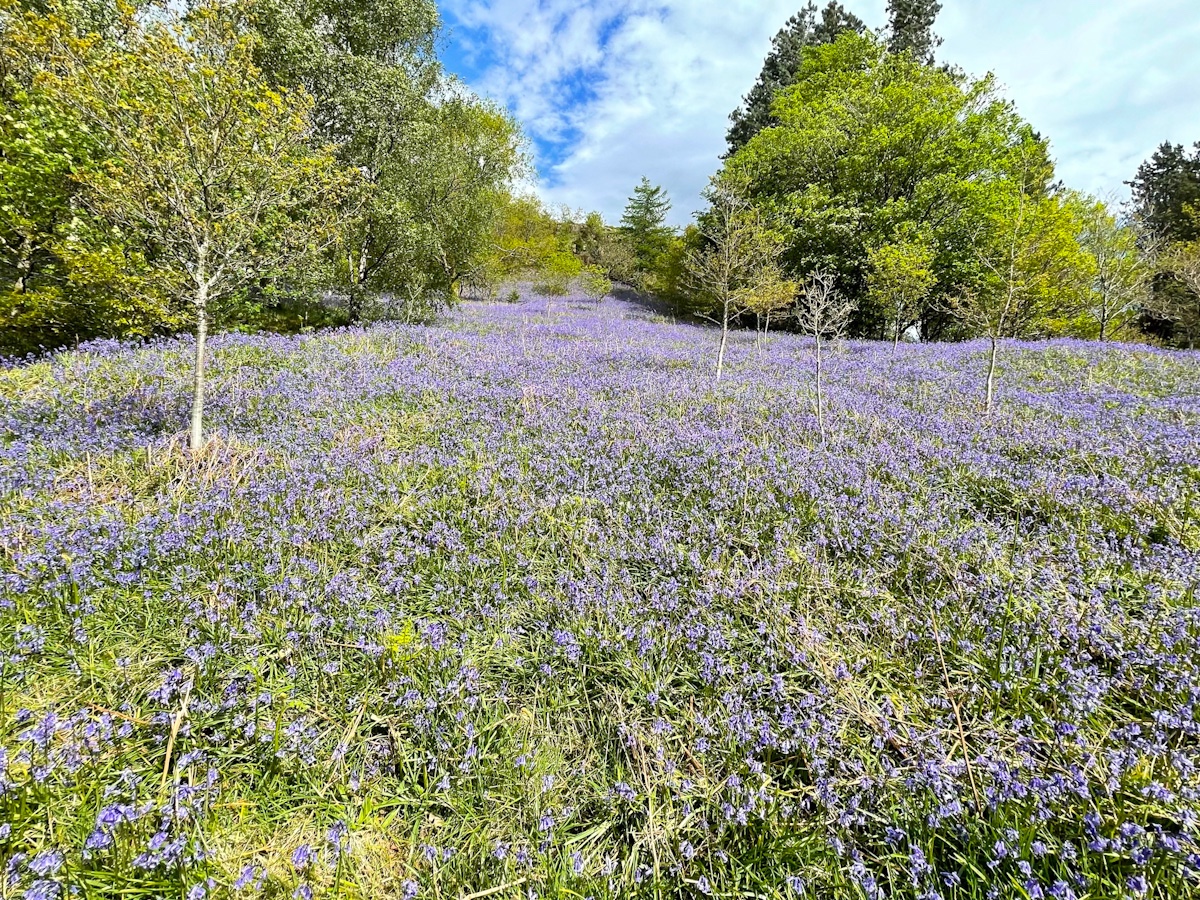 15may22drive36.jpg-1 – Noodle's Note